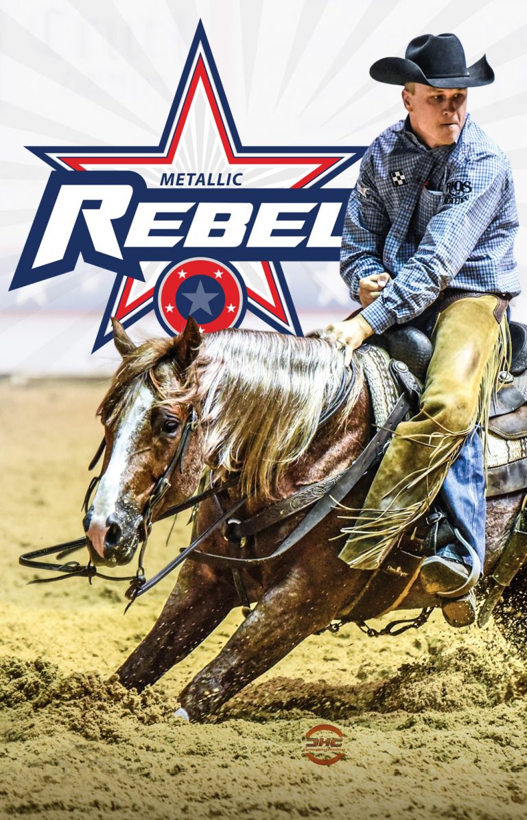 Metallic Rebel – NCHA Open Horse of the Year