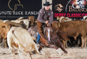 Metallic Rebel – NCHA Open Horse of the Year