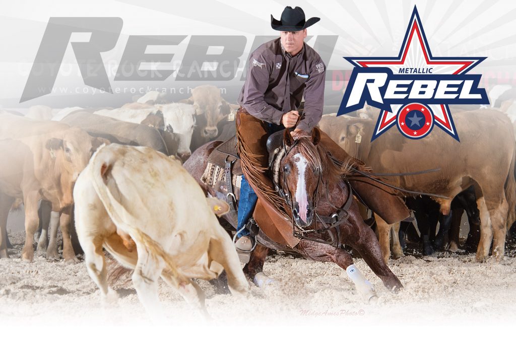 Performance – Metallic Rebel