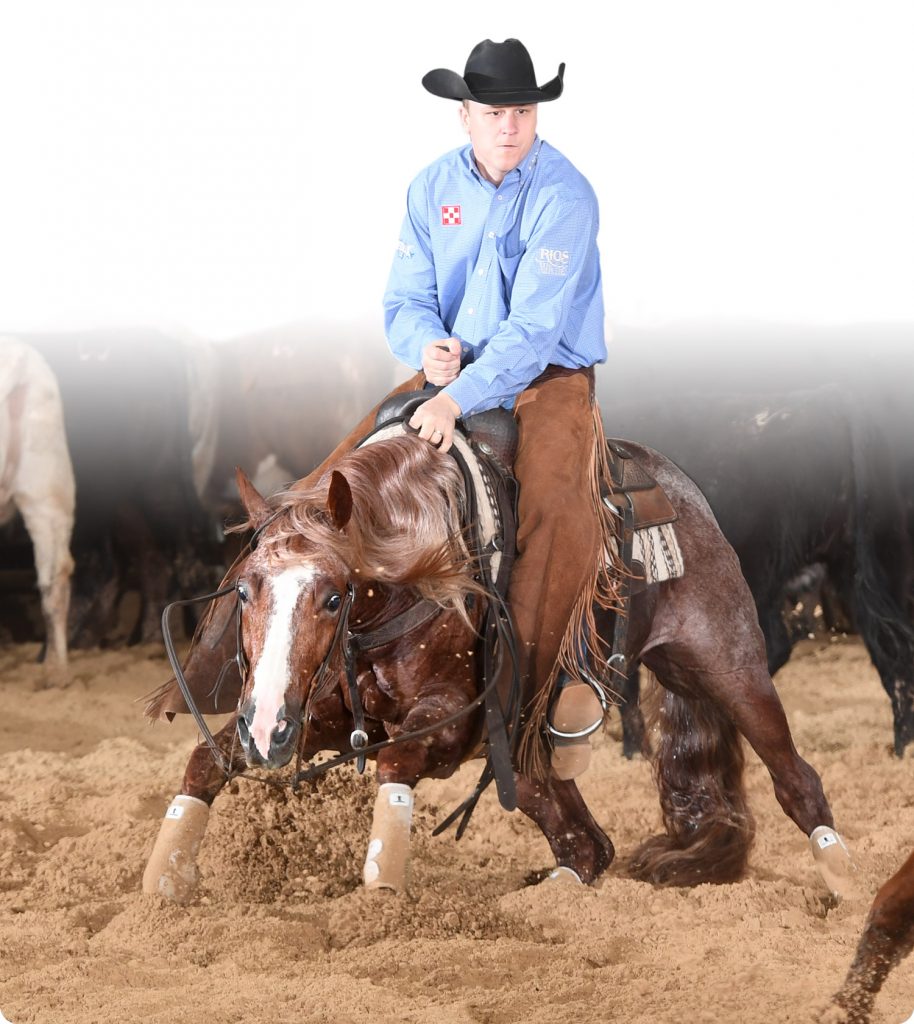 Performance – Metallic Rebel