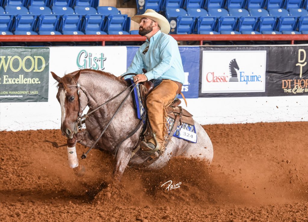 Performers – Metallic Rebel