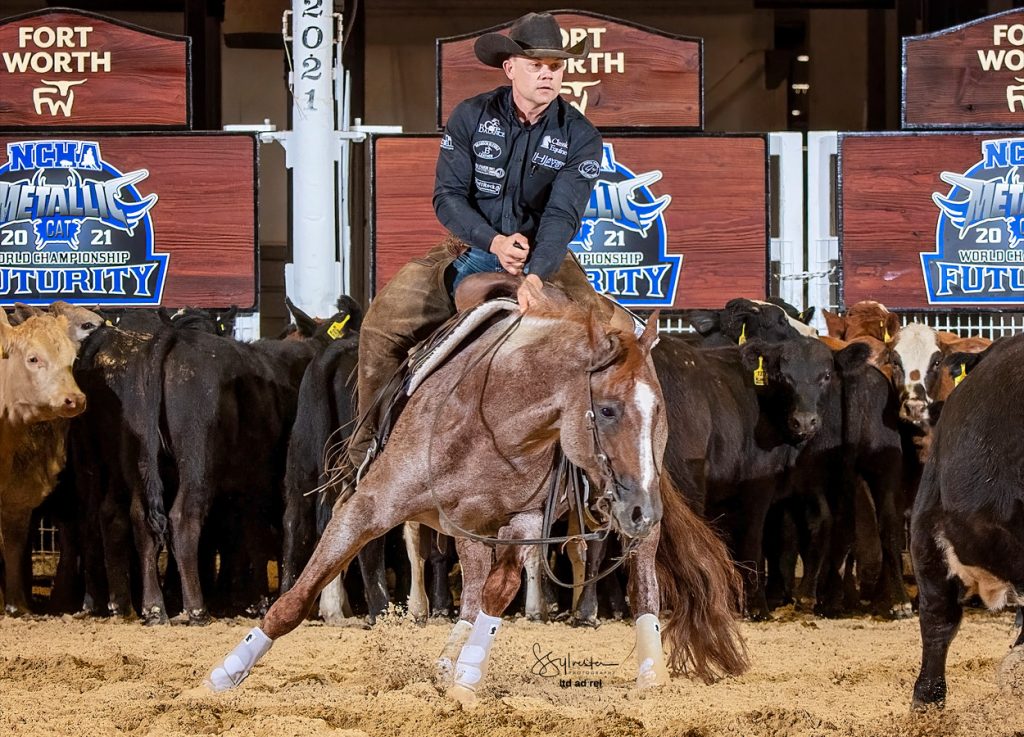 Performers – Metallic Rebel