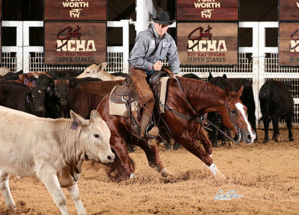 Performers – Metallic Rebel