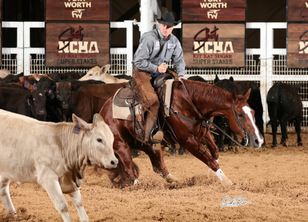 April 2022 – Metallic Rebel