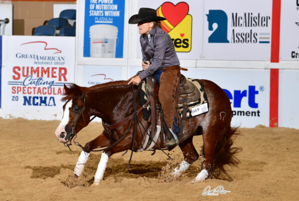 Metallic Rebel – NCHA Open Horse of the Year