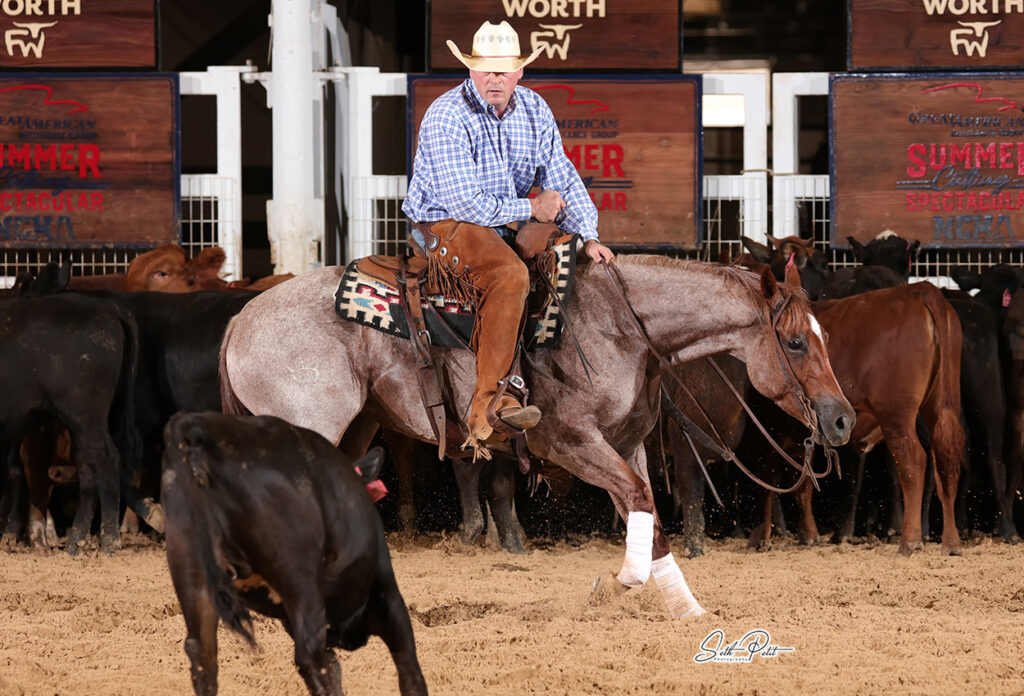 Performers – Metallic Rebel