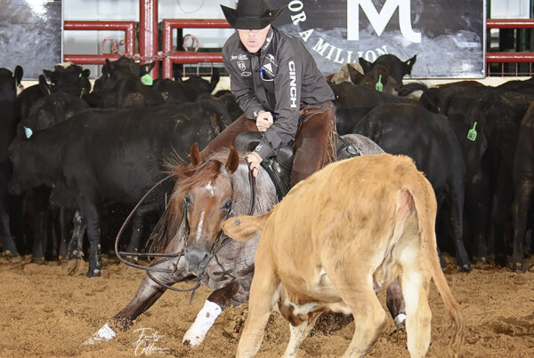 Metallic Rebel – NCHA Open Horse of the Year