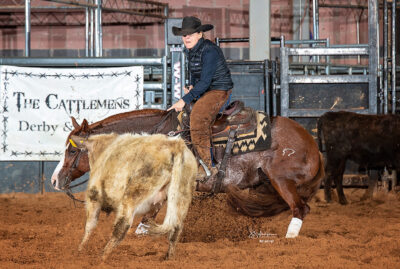 Metallic Rebel – NCHA Open Horse of the Year
