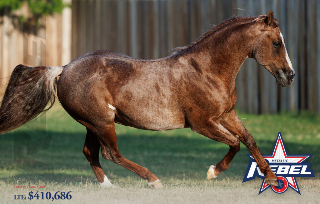 Contact – Metallic Rebel