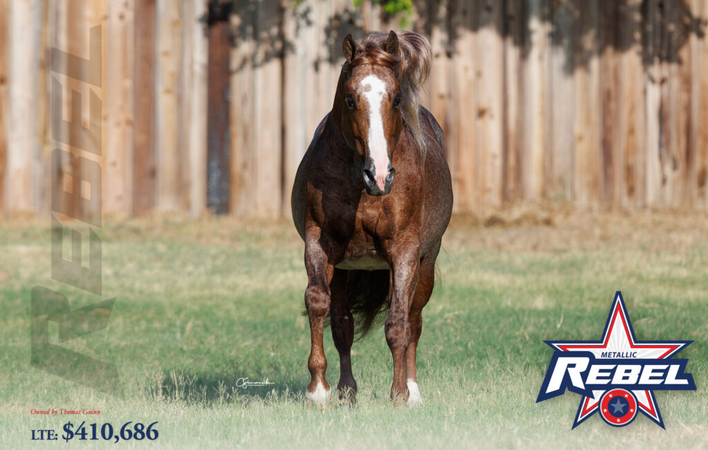 News – Metallic Rebel