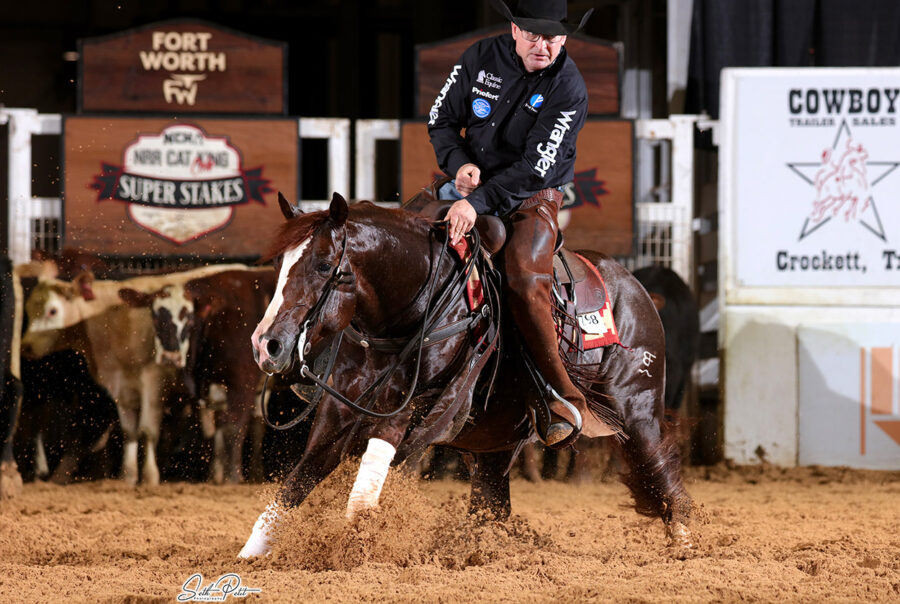 Metallic Rebel – NCHA Open Horse of the Year
